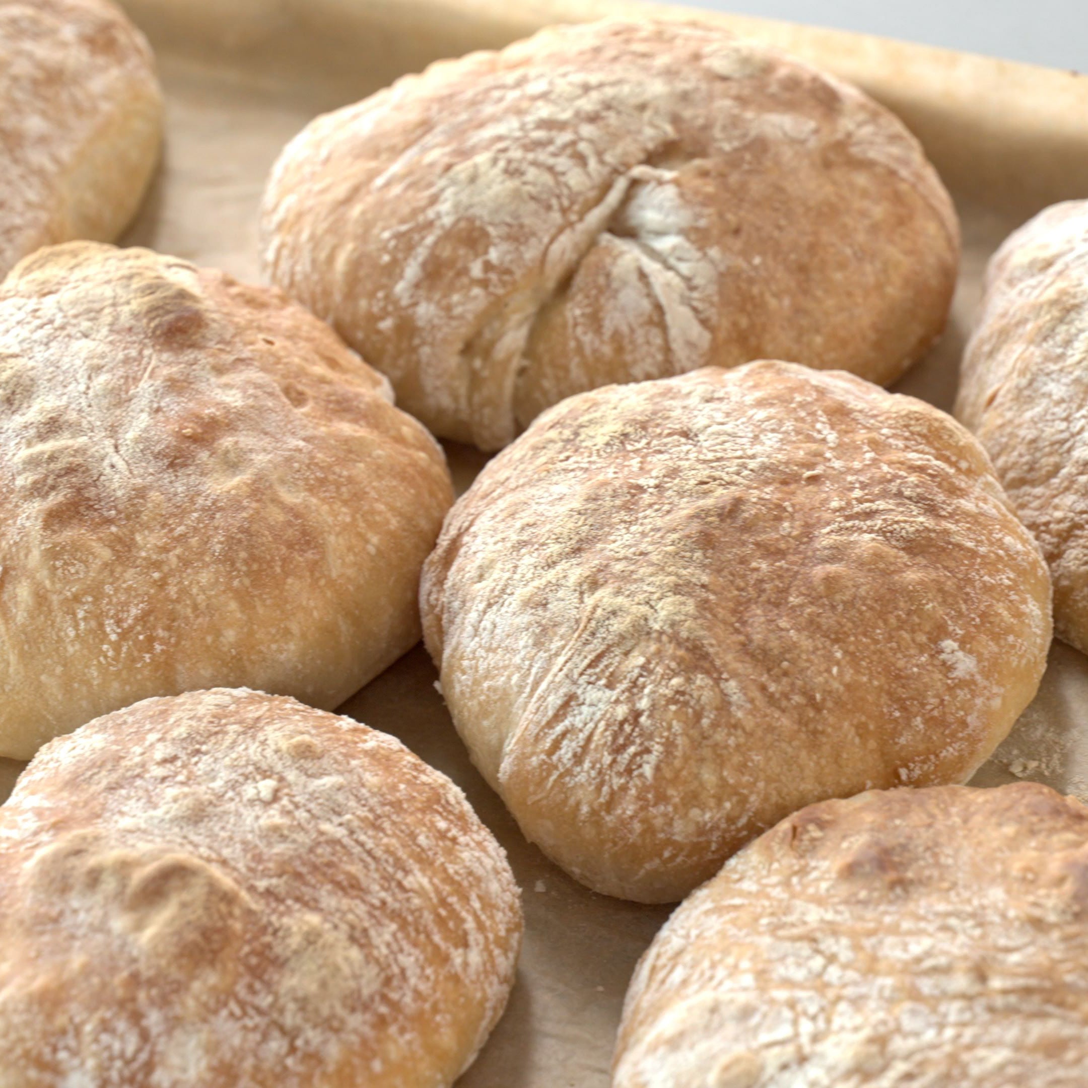 Ciabatta Rolls – From Here